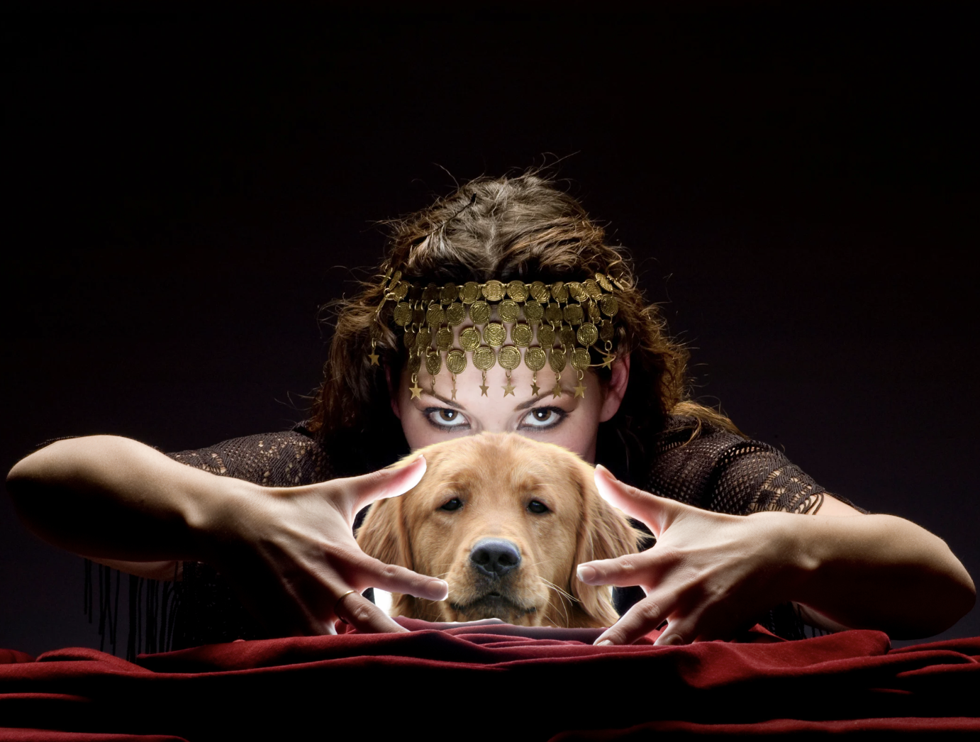 Fortune Teller Adopts Seeing Eye Dog - The Squeaky Wheel
